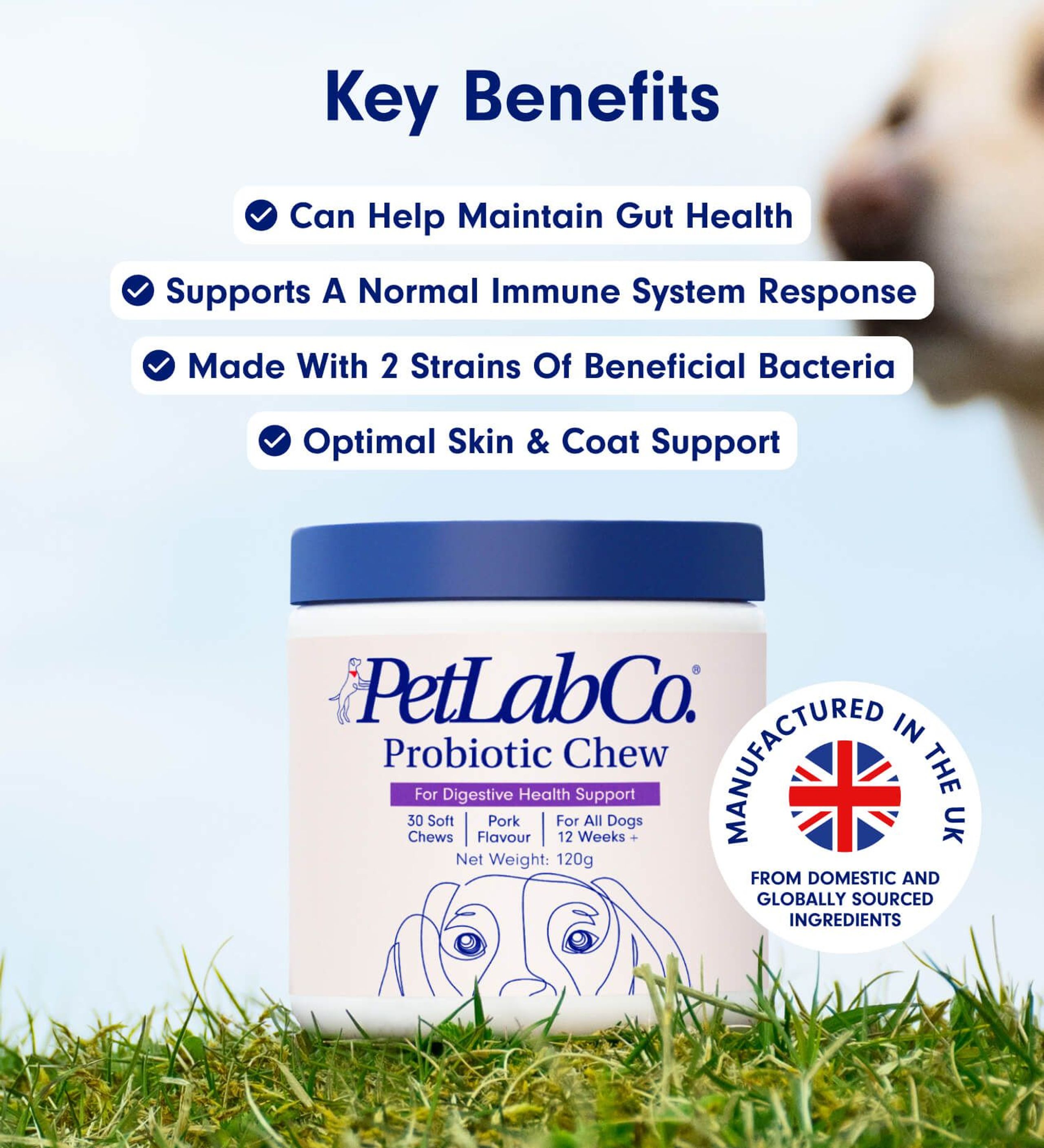 Probiotic for Dogs | Support Gut Health | PetLab Co.