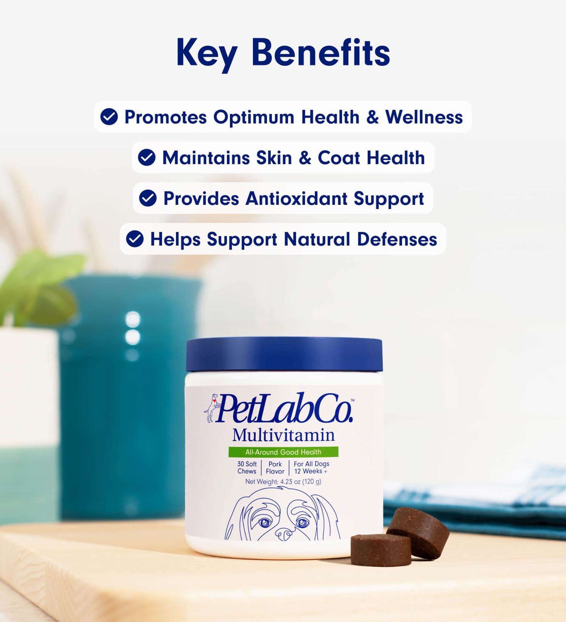 PetLab Co. Dog Multivitamin Chew – Daily Dog Vitamin Supplement
