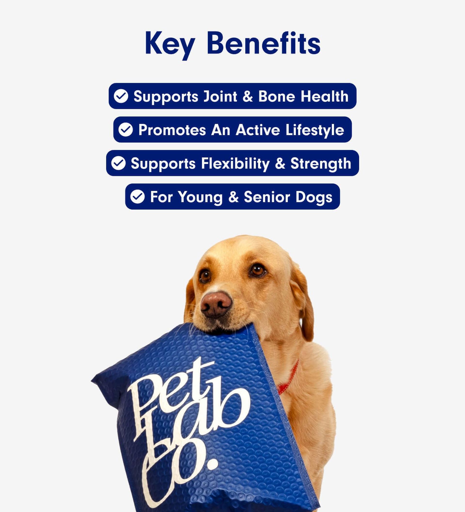 Joint Care Chews | Joint Support for Dogs | PetLab Co.