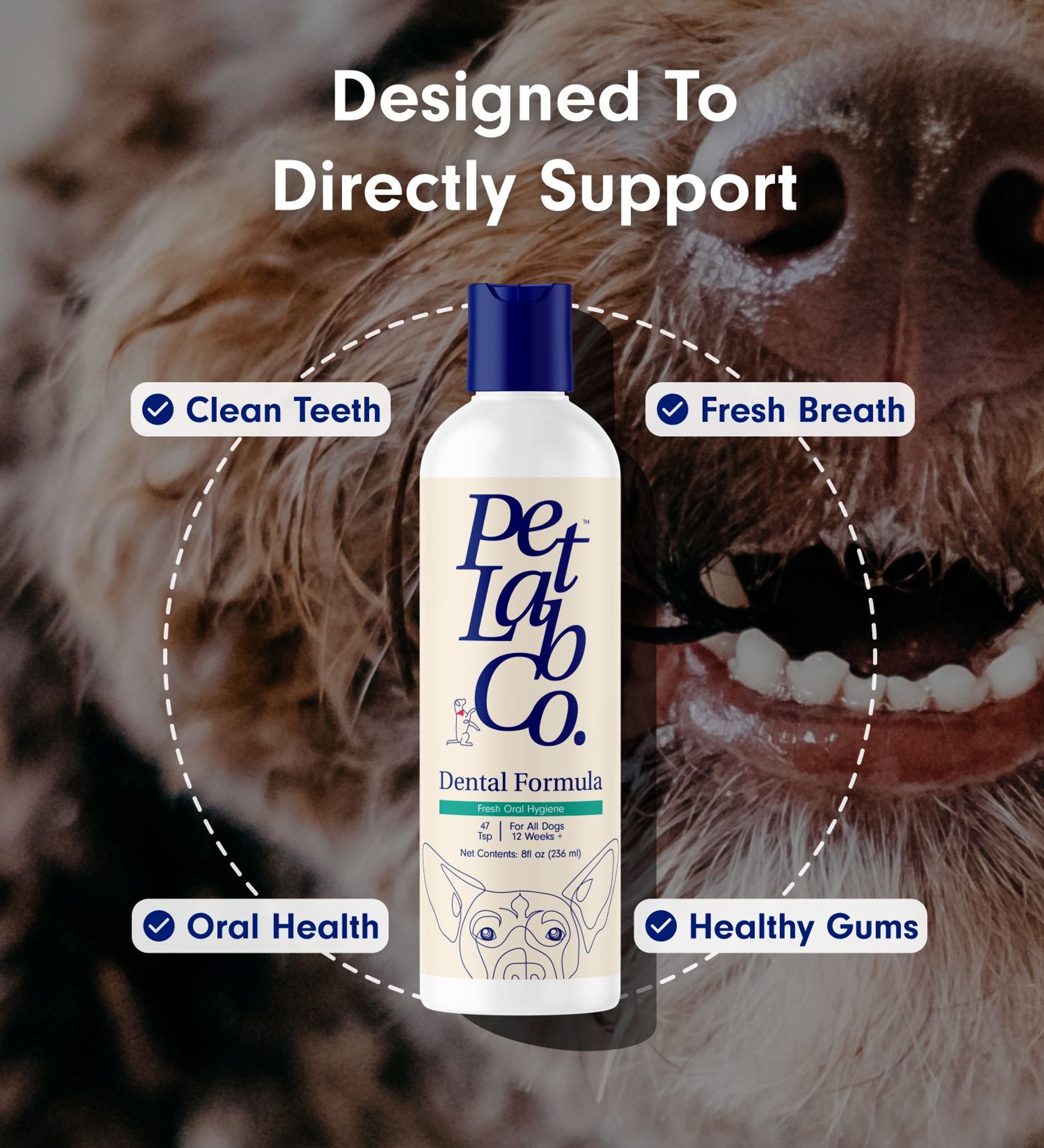 Dog Dental Formula – Daily Teeth Cleaner & Rinse | PetLab Co.