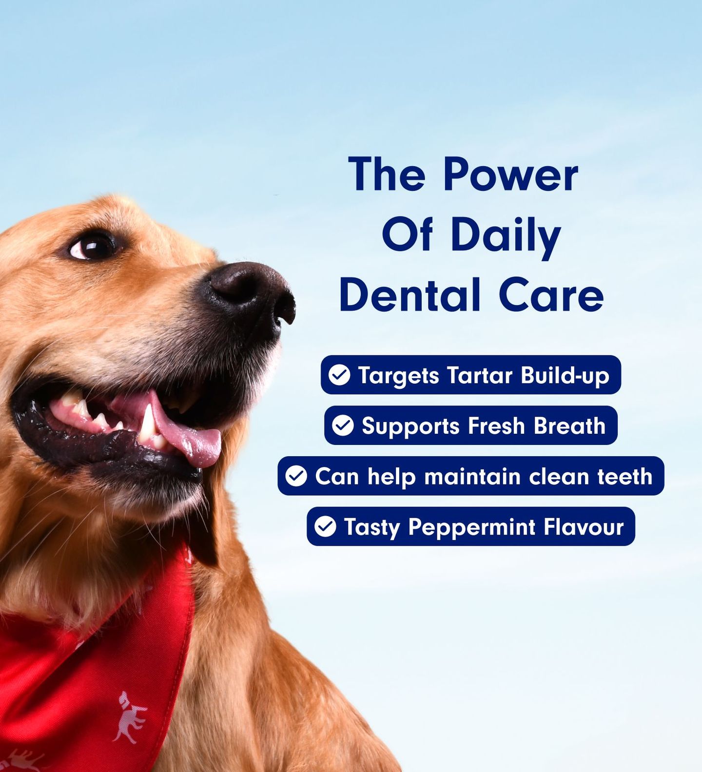 Dog Dental Formula | Targets Plaque & Tartar Build-Up | PetLab Co.