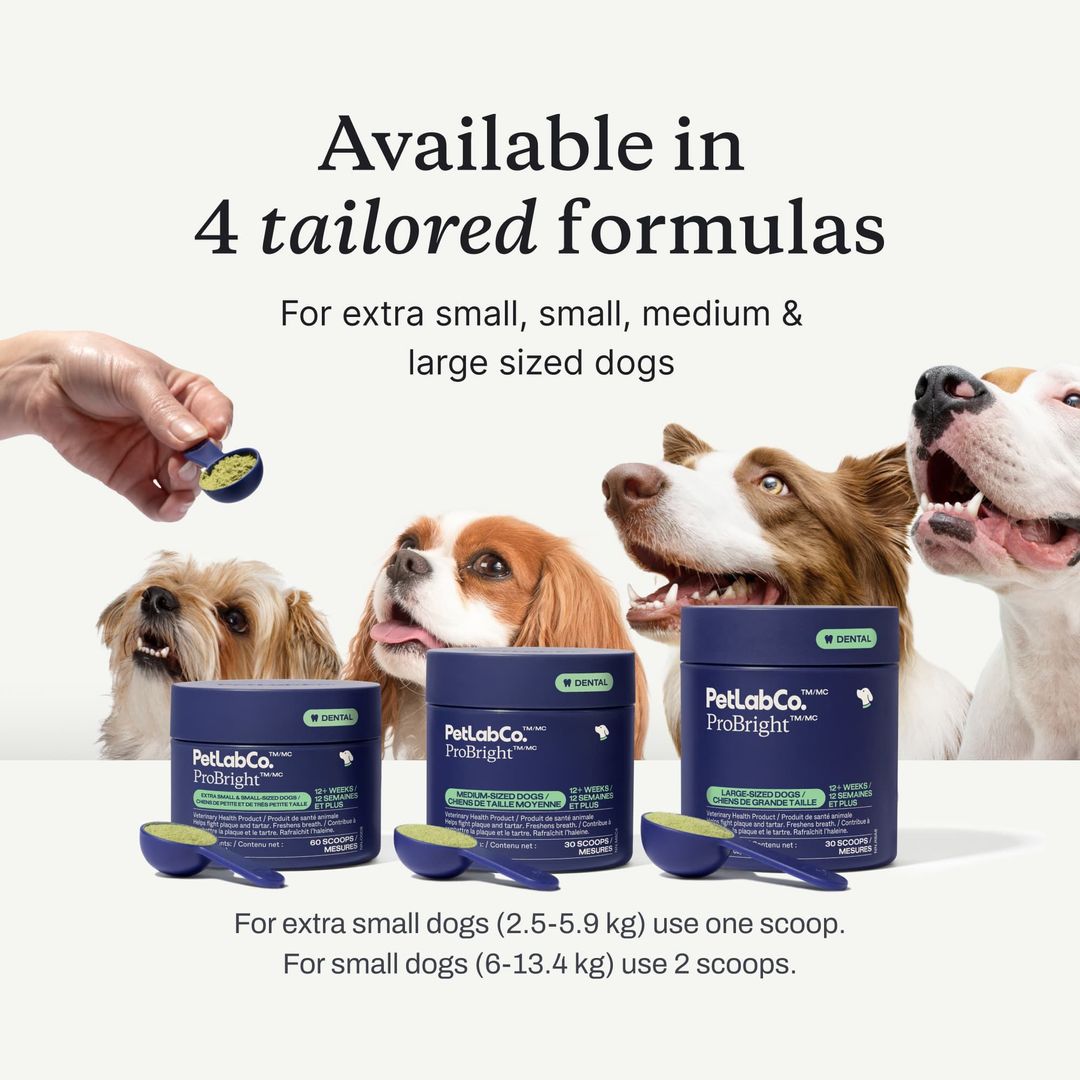 ProBright™ Dog Teeth Cleaning Powder – Easy, At-Home Dog Teeth Cleaning ...