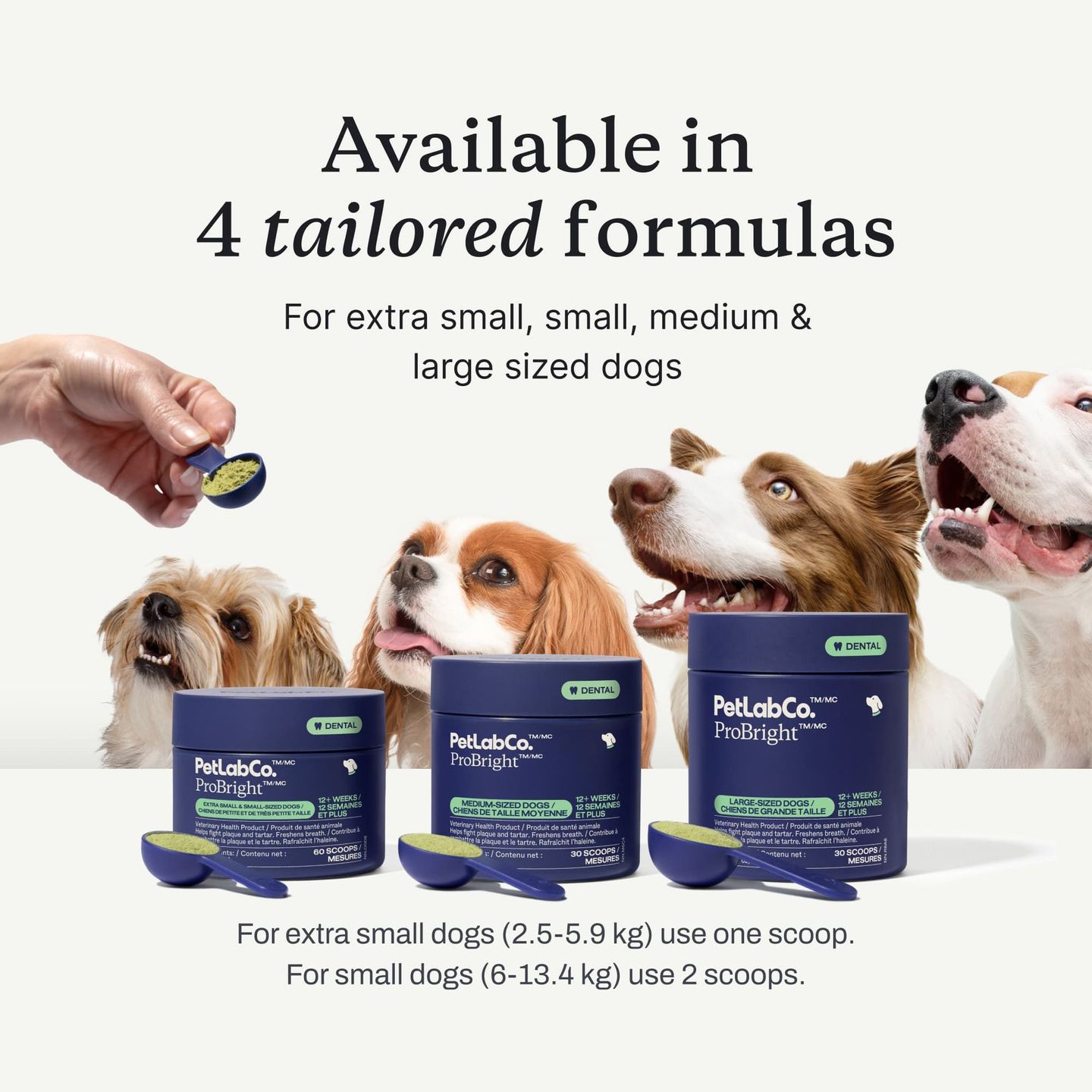 ProBright™ Dog Teeth Cleaning Powder – Easy, At-Home Dog Teeth Cleaning ...