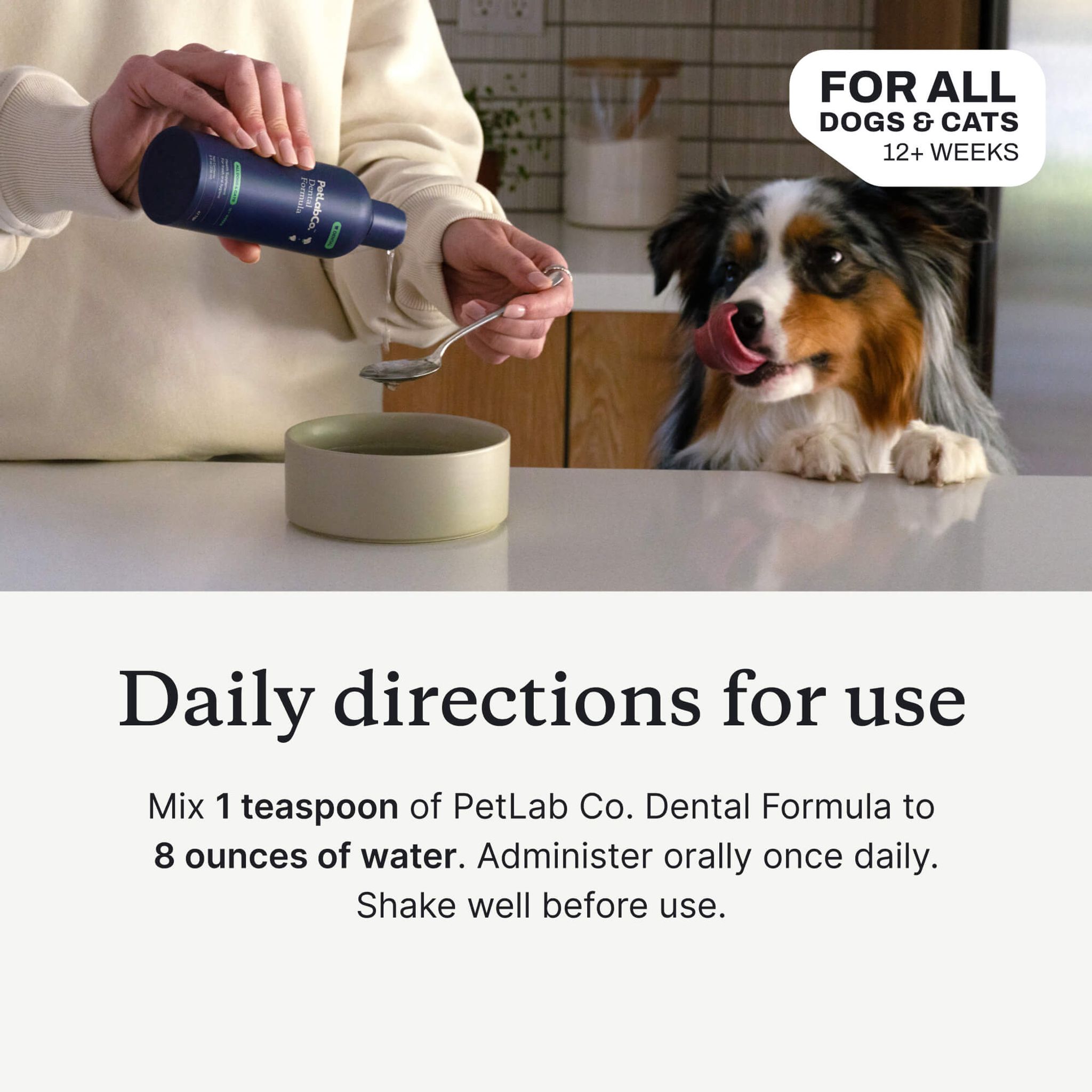 Dog Dental Formula – Daily Teeth Cleaner & Rinse | PetLab Co.