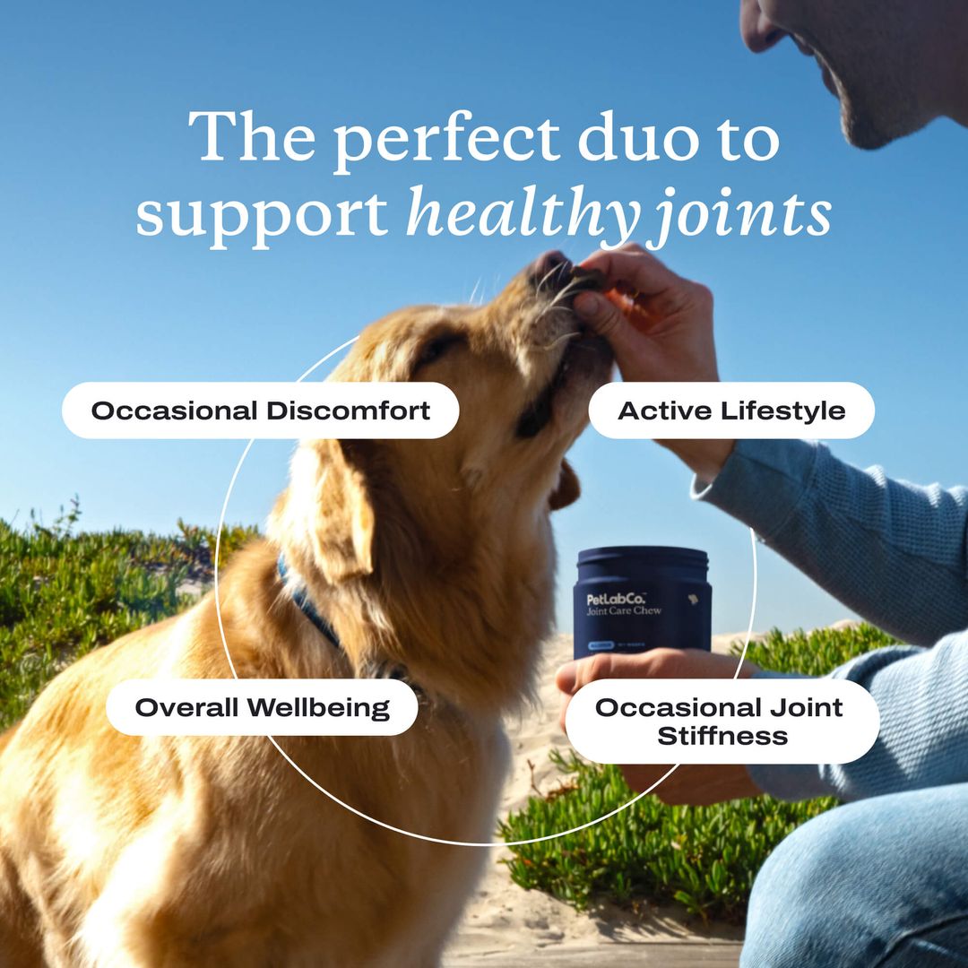 Mobility Bundle | Dog Joint & Mobility Supplements | PetLabCo.