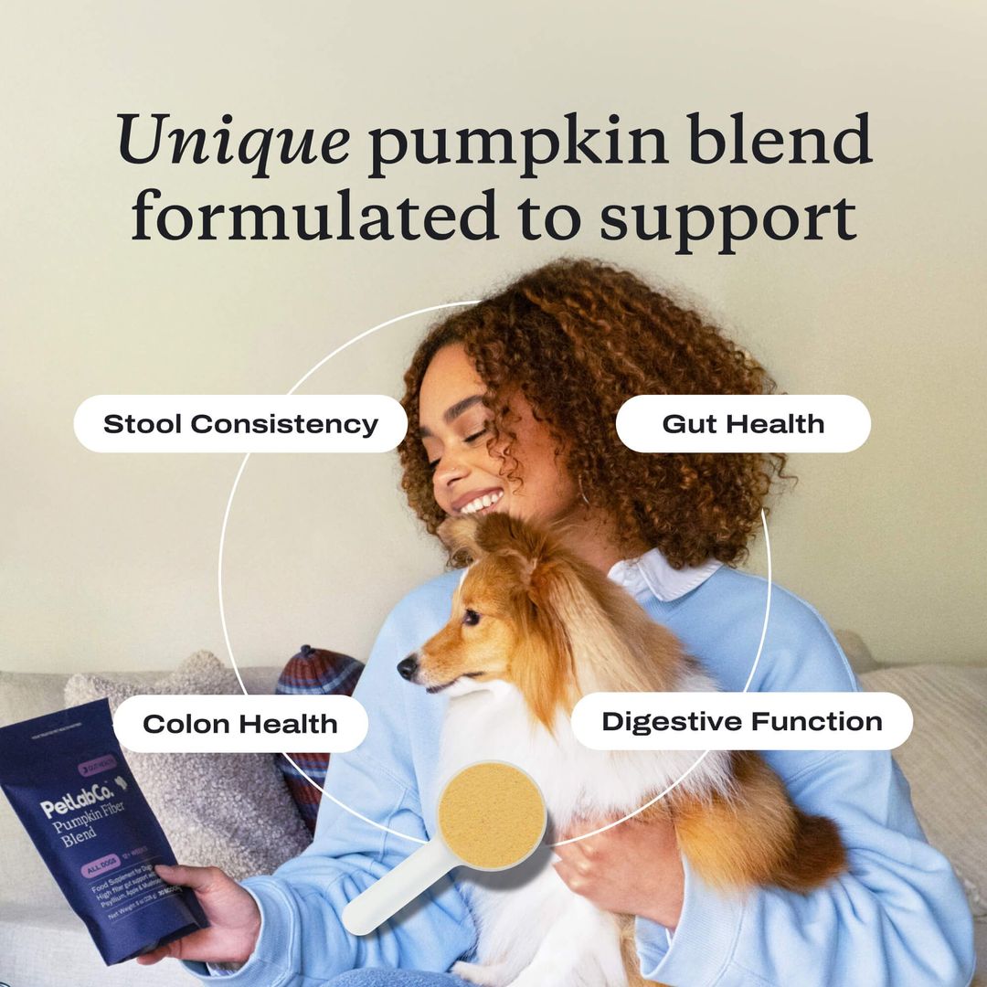 PetLabCo. Pumpkin Powder for Dogs – Dog Gut Supplement with Fiber