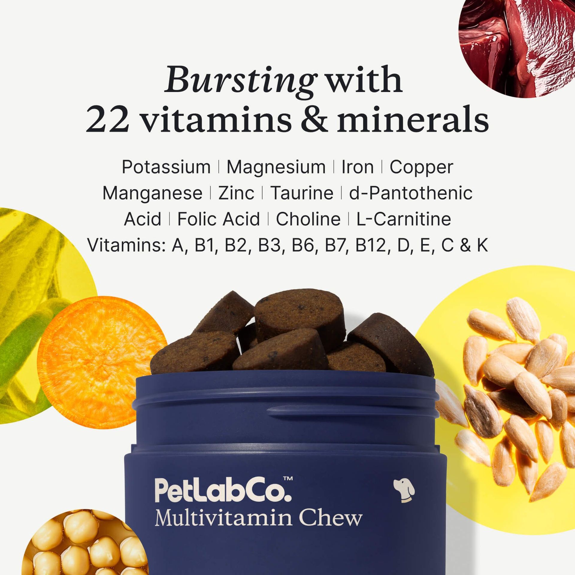 PetLabCo. Dog Multivitamin Chew – Daily Dog Vitamin Supplement