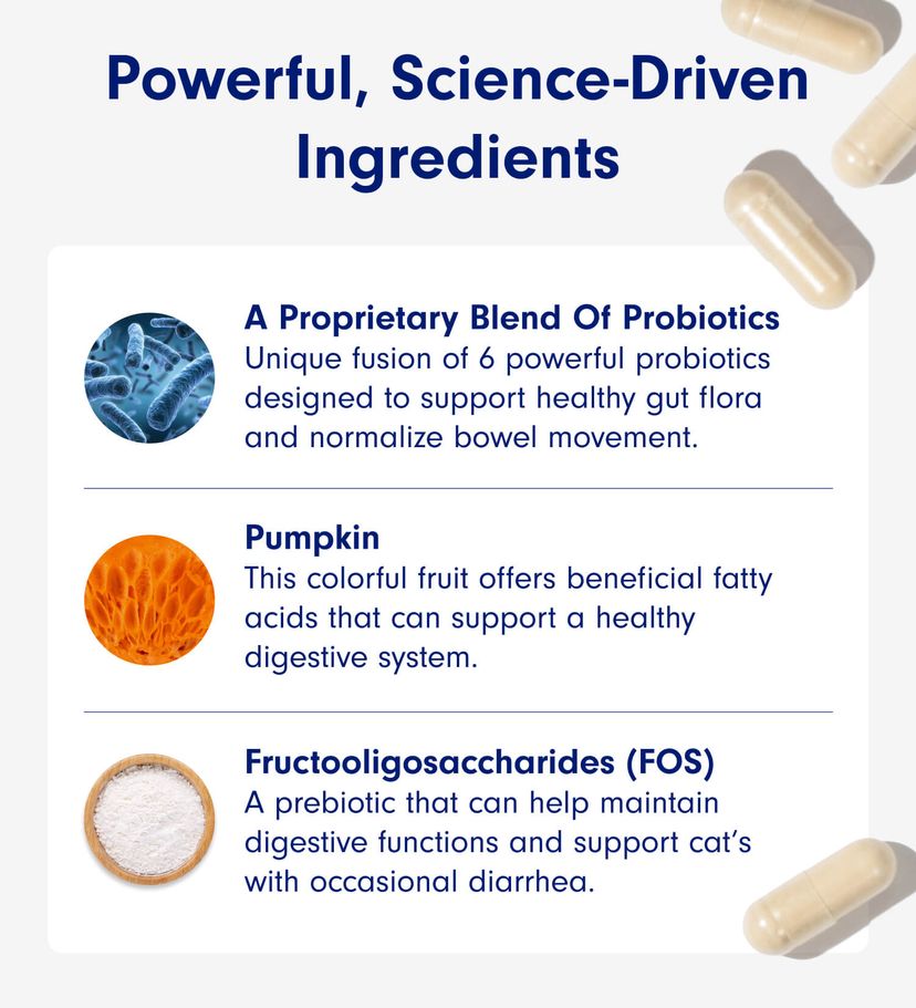 PetLab Co. Probiotics for Cats – Digestive & Gut Health Support