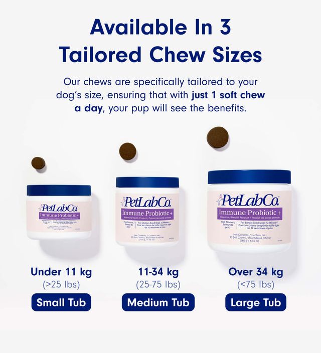 Allergy & Immune Probiotic Chew For Dogs | PetLab Co.