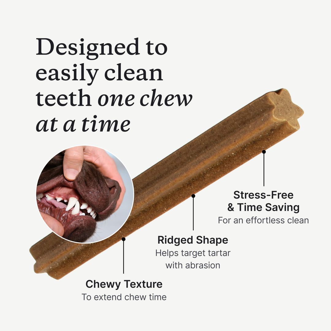 Prebiotic Dental Sticks for Dogs