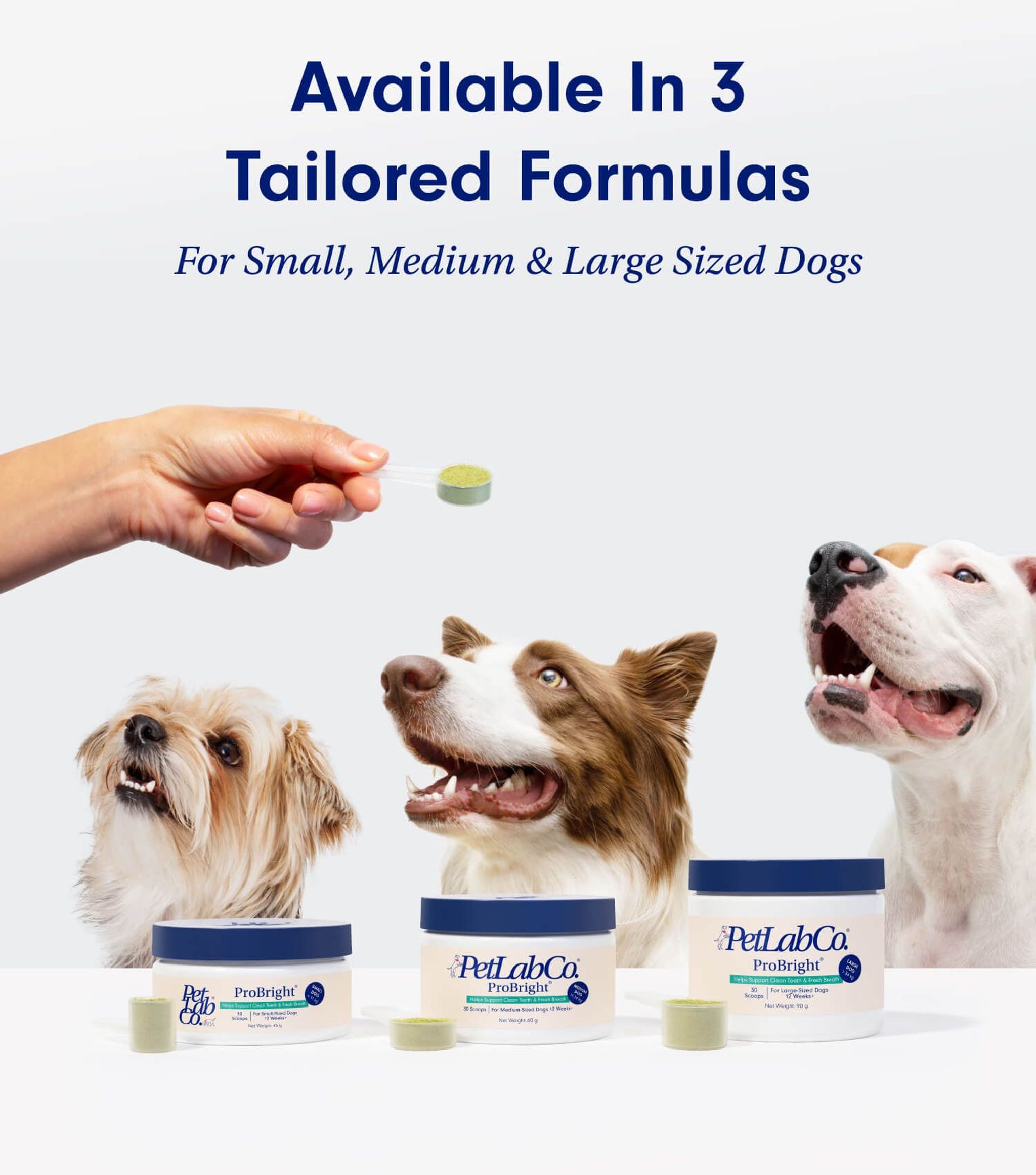 ProBright® Probiotic Dog Dental Powder | PetLab Co.