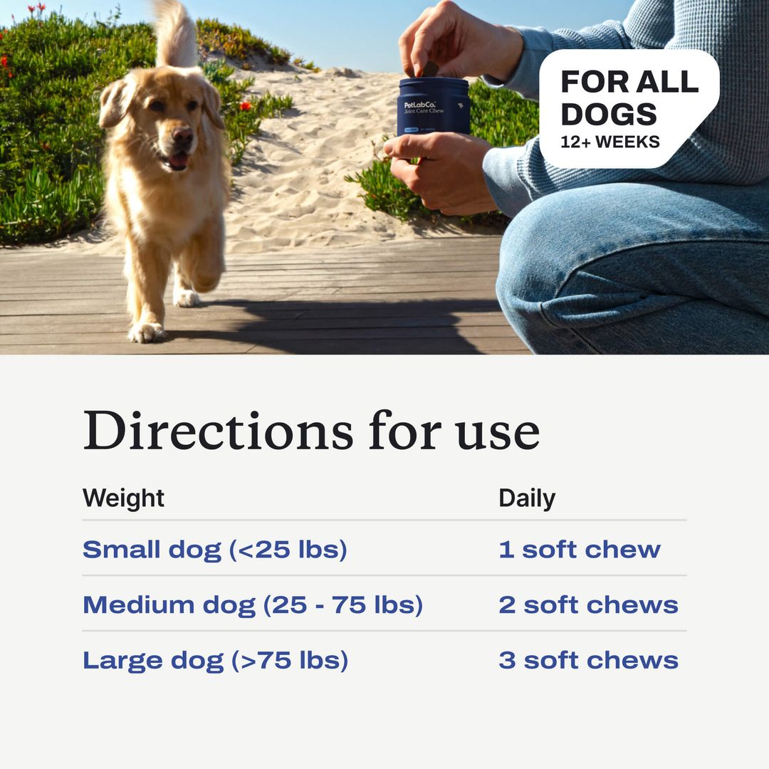Joint Care Chews For Dogs | Joint & Mobility Support | PetLabCo.