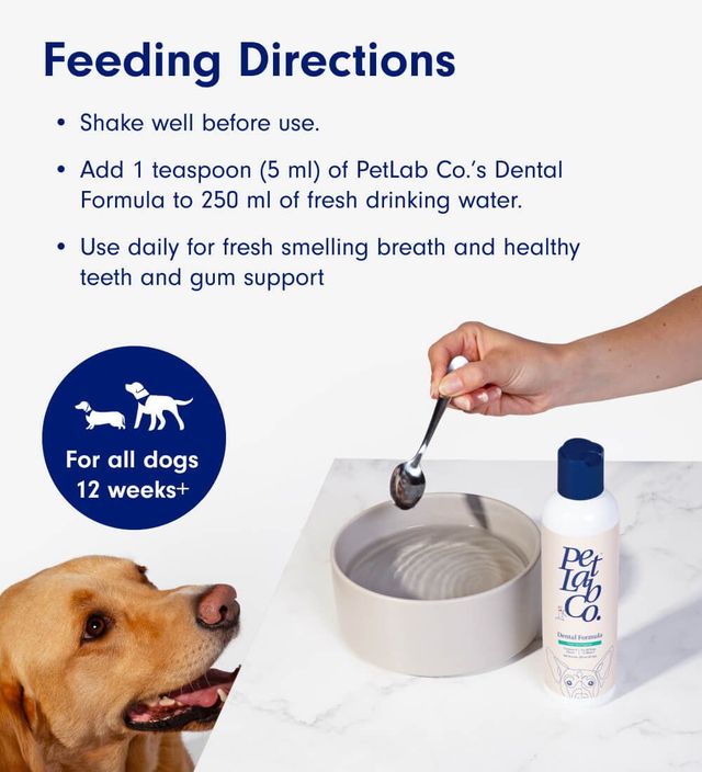 Dog Dental Formula | Targets Plaque & Tartar Build-Up | PetLab Co.