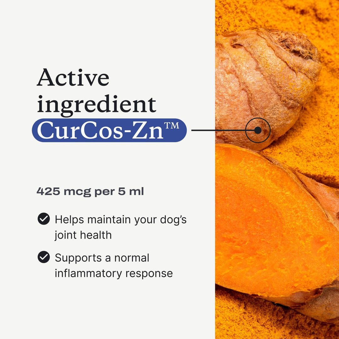 Mobility Bundle | Dog Joint & Mobility Supplements | PetLabCo.