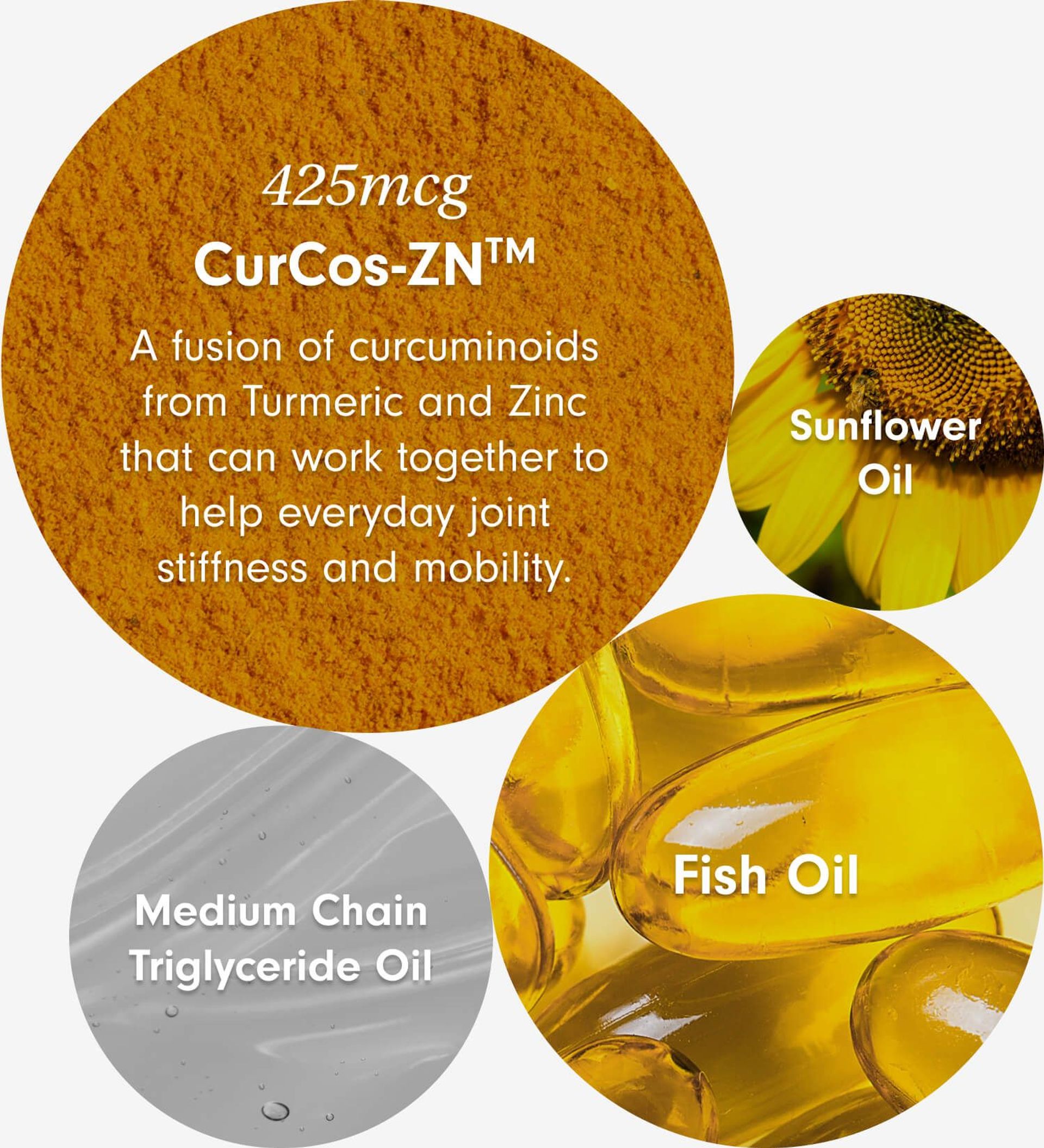 Mobility Pro Oil with Curcumin for Dogs | PetLab Co.