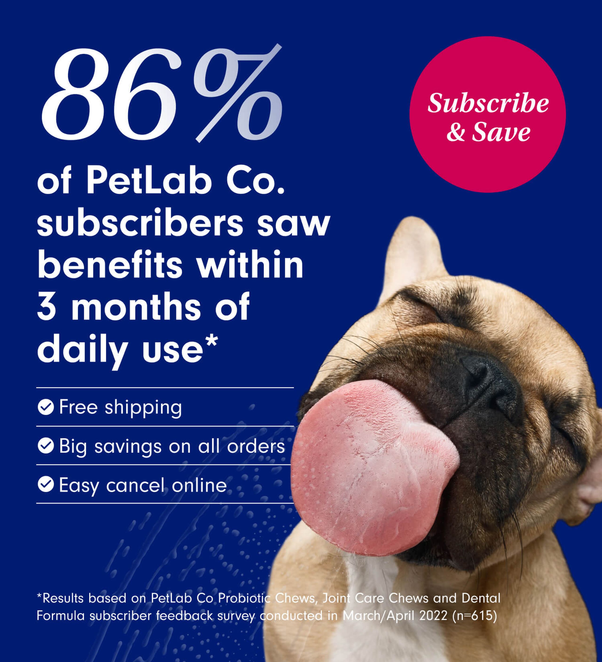 PetLab Co. Dog Multivitamin Chew – Daily Dog Vitamin Supplement