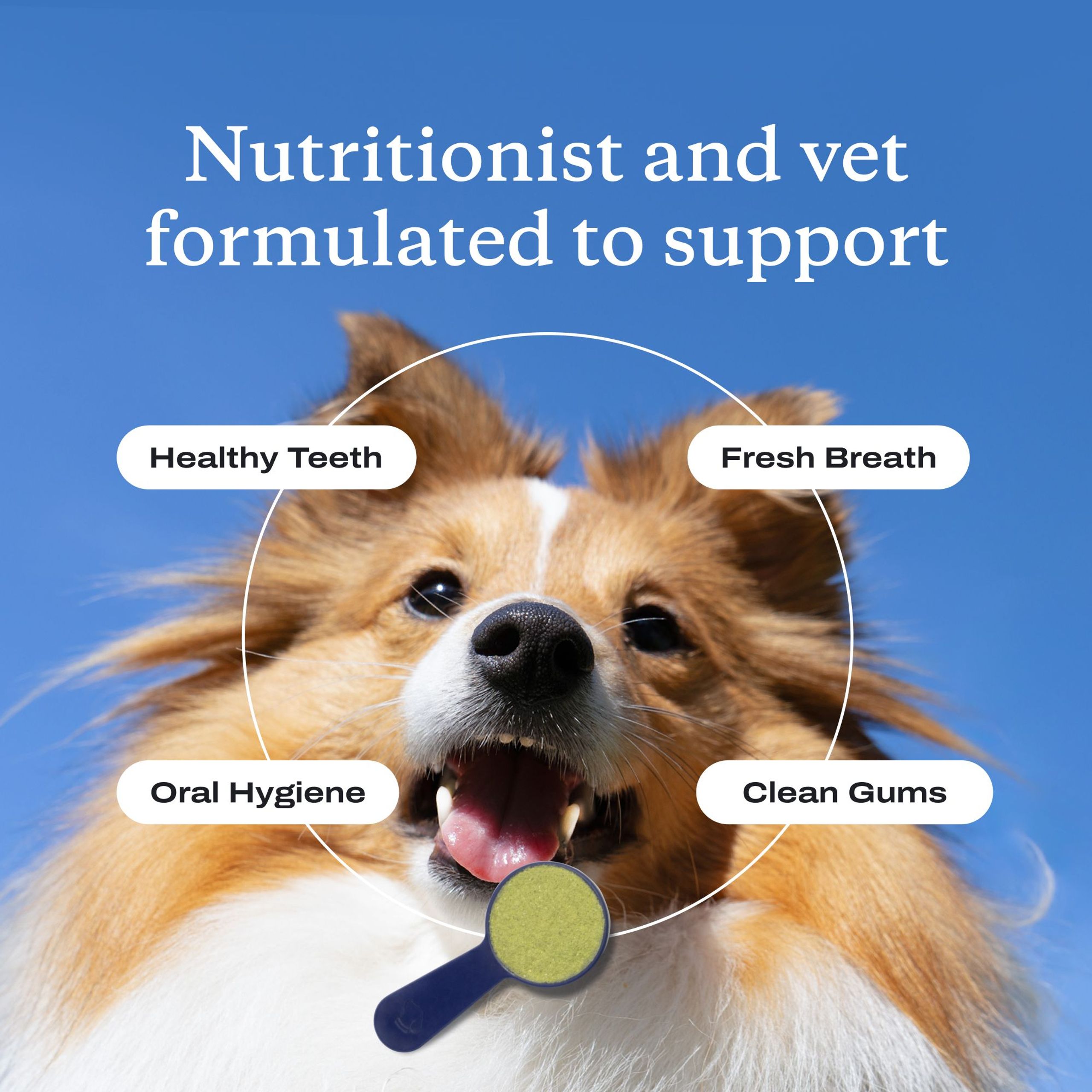 PetLabCo. ProBright Advanced – Probiotic Dog Dental Powder