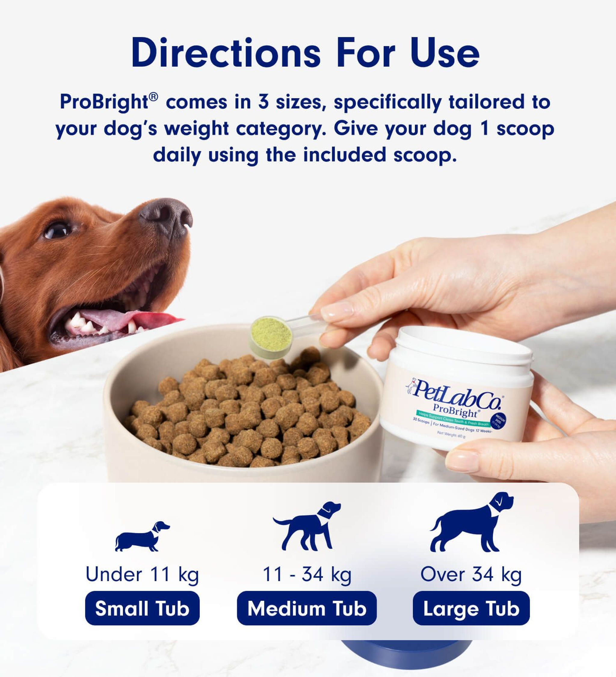 ProBright® Probiotic Dog Dental Powder | PetLab Co.