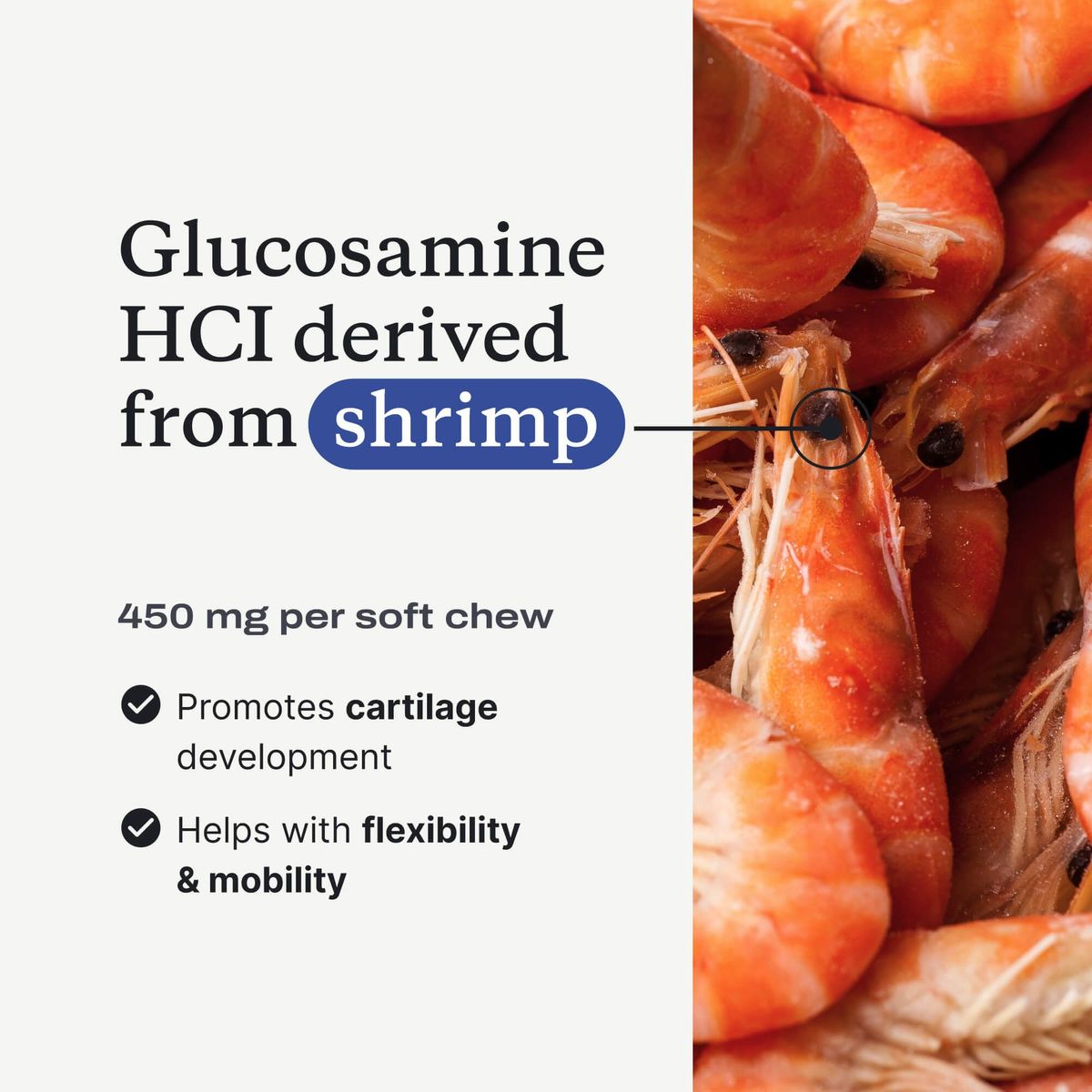 Mobility Bundle | Dog Joint & Mobility Supplements | PetLabCo.