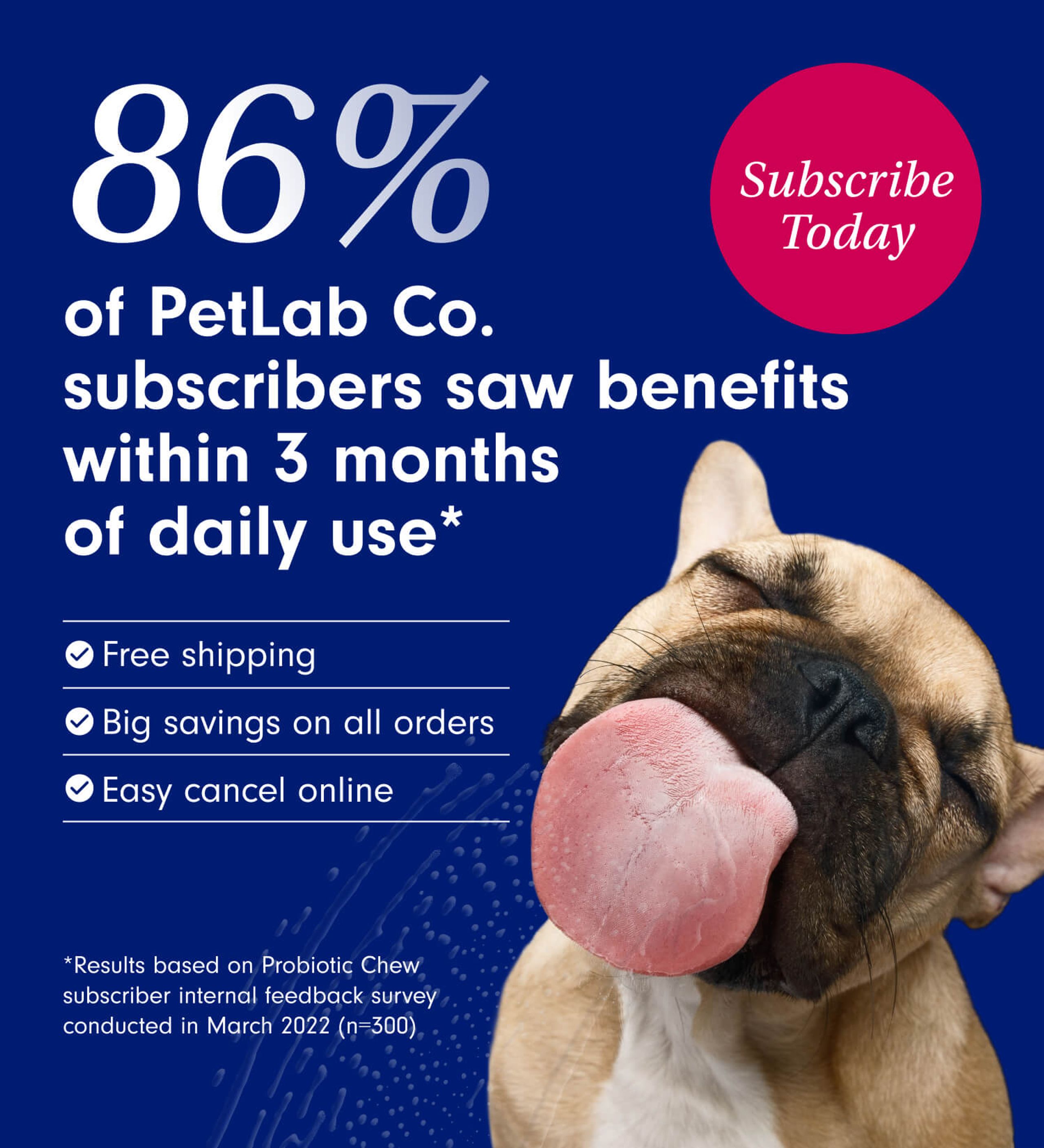 Mobility Bundle | Dog Joint & Mobility Supplements | PetLab Co.