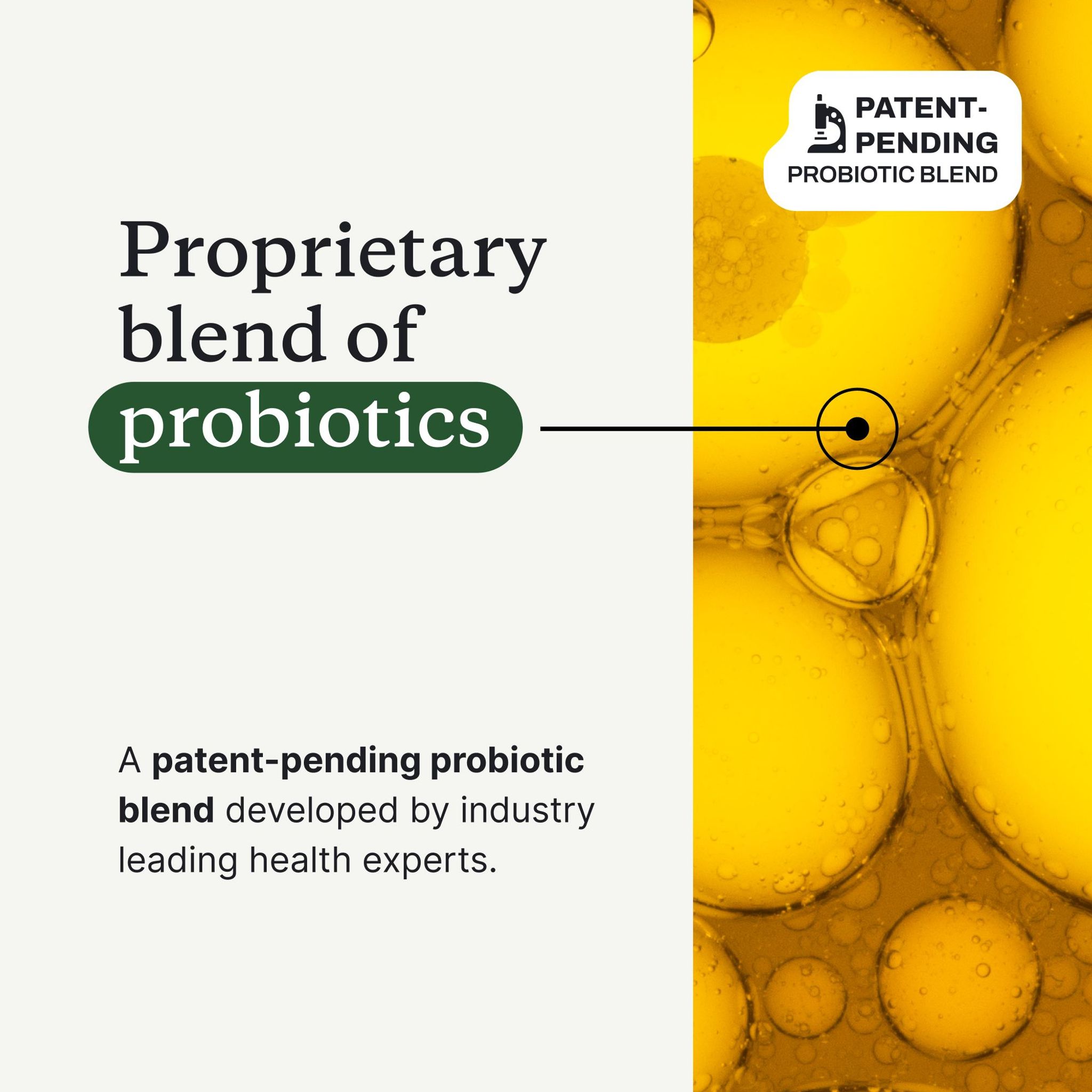 PetLabCo. ProBright Advanced – Probiotic Dog Dental Powder