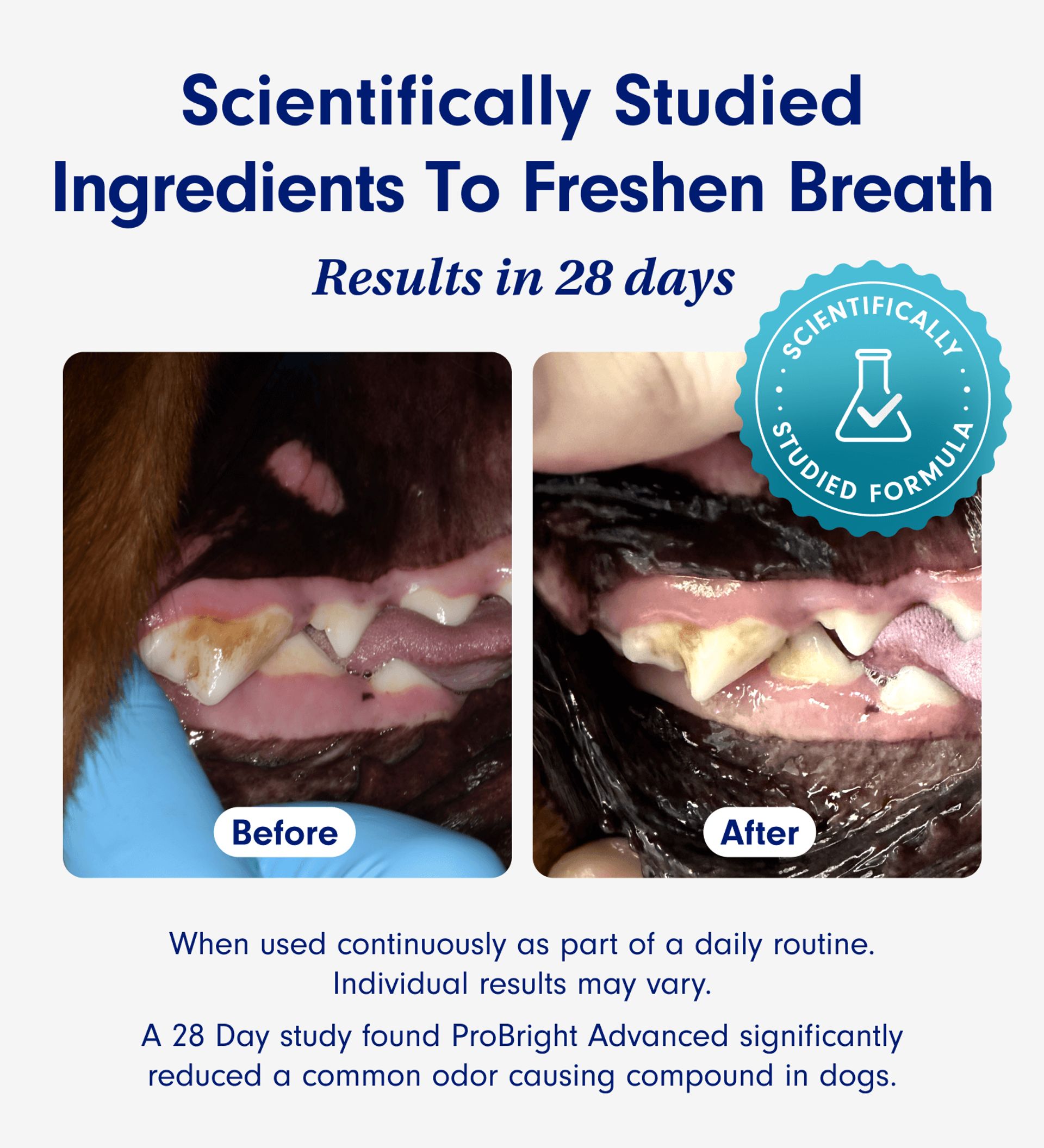 PetLab Co. ProBright Advanced – Probiotic Dog Dental Powder