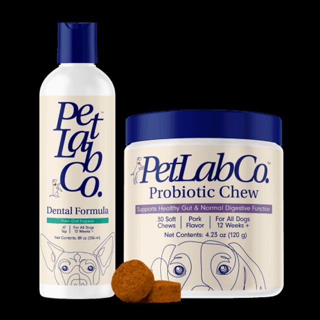 Dog Dental Cleaning - Keep Your Dog’s Teeth Healthy & Clean