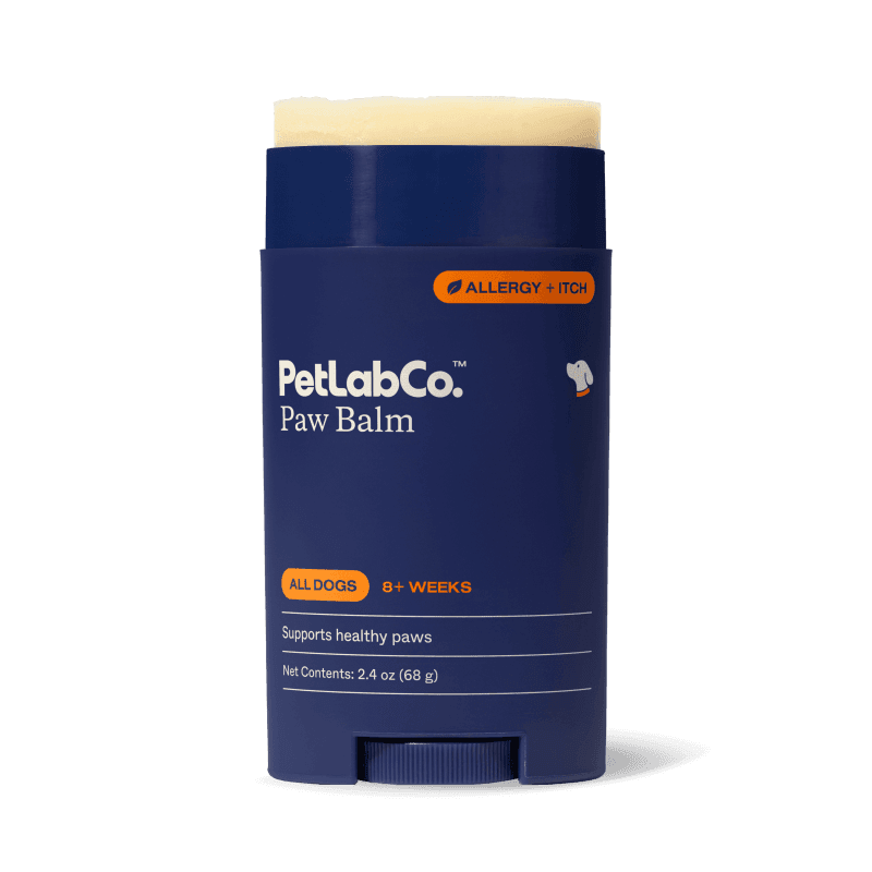 PetLabCo. Dog Paw Balm – Moisturizing Stick for Dry Paws