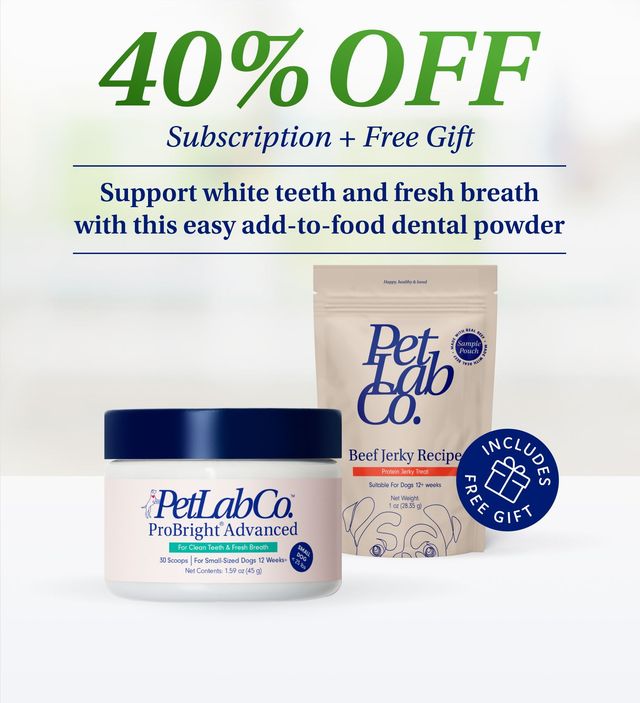 PetLab Co. ProBright Advanced – Probiotic Dog Dental Powder