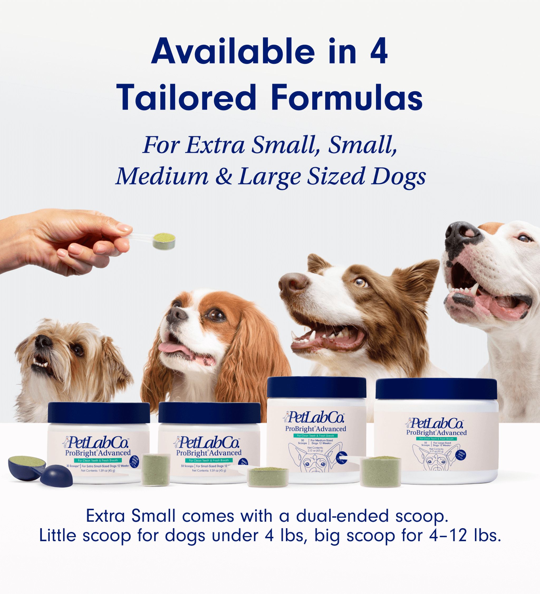 PetLab Co. ProBright Advanced – Probiotic Dog Dental Powder
