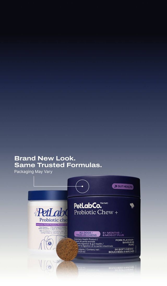 PetLabCo. | Canada's Best-Selling Dog Probiotic and Supplements