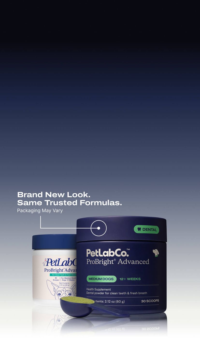 PetLabCo: America's #1 Dog Dental Powder, Probiotic Chew & More