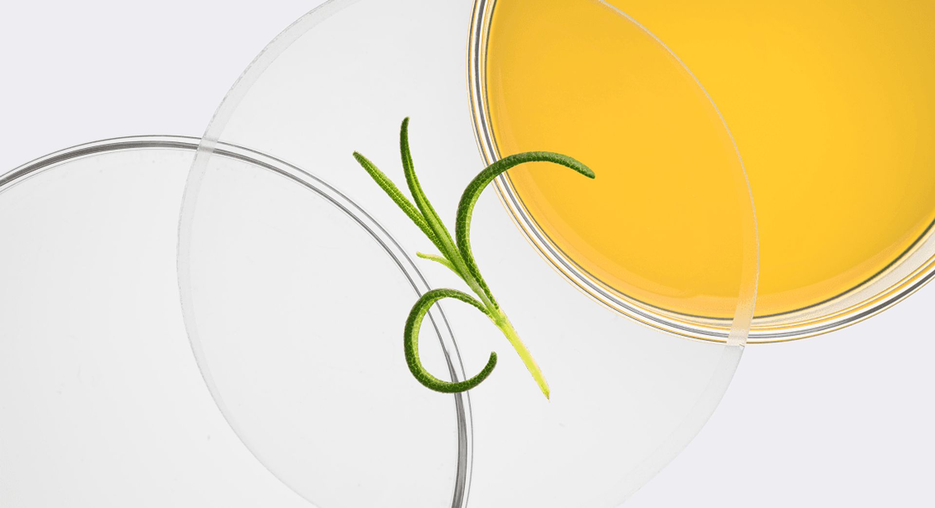 50+ Premium Pet Supplement Ingredients | PetLabCo.