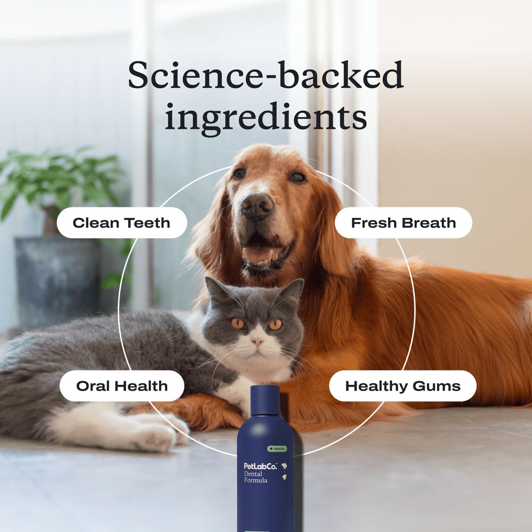 PetLabCo.® Dental Formula for Dogs & Cats – Daily Teeth Cleaner & Rinse
