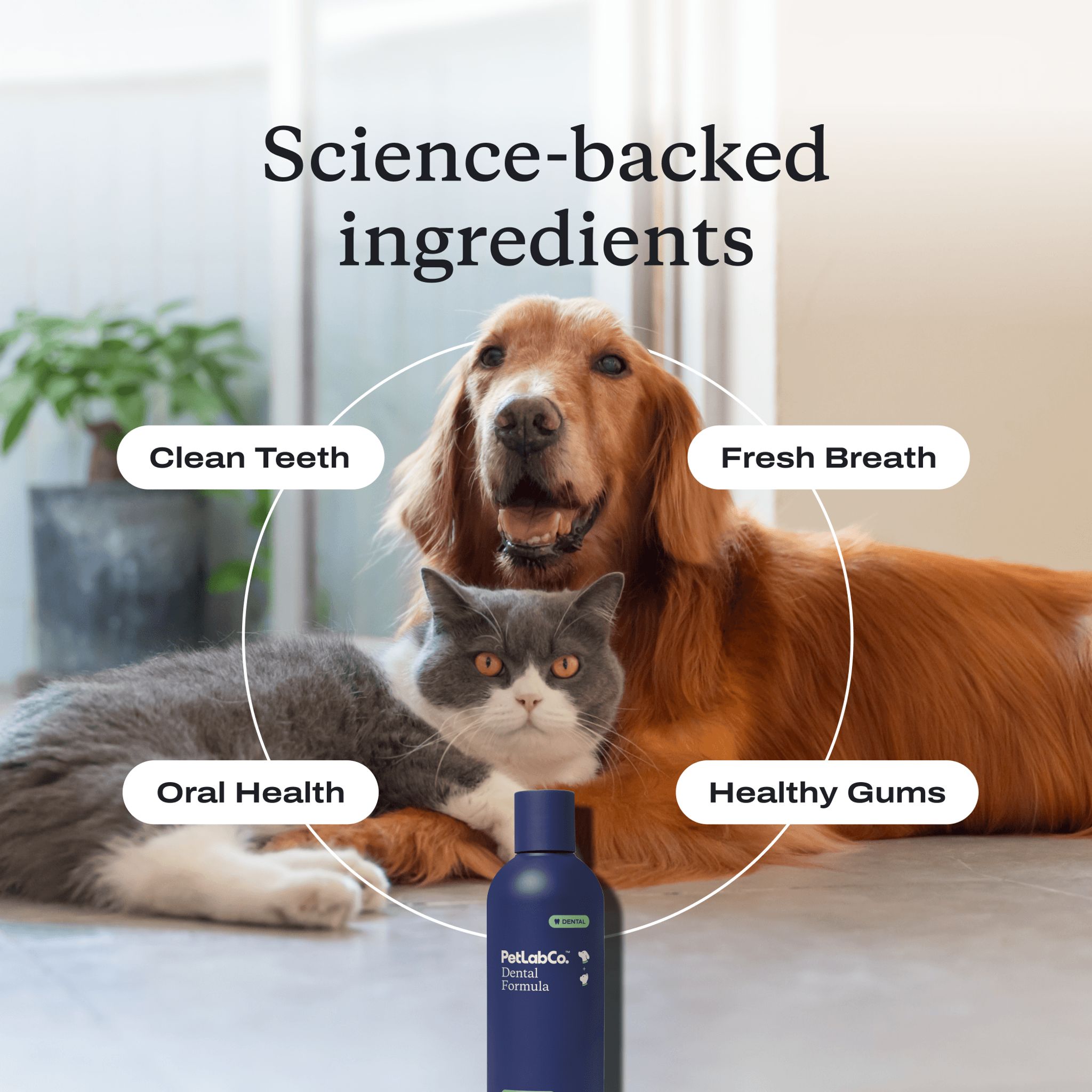 PetLabCo.® Dental Formula for Dogs & Cats – Daily Teeth Cleaner & Rinse