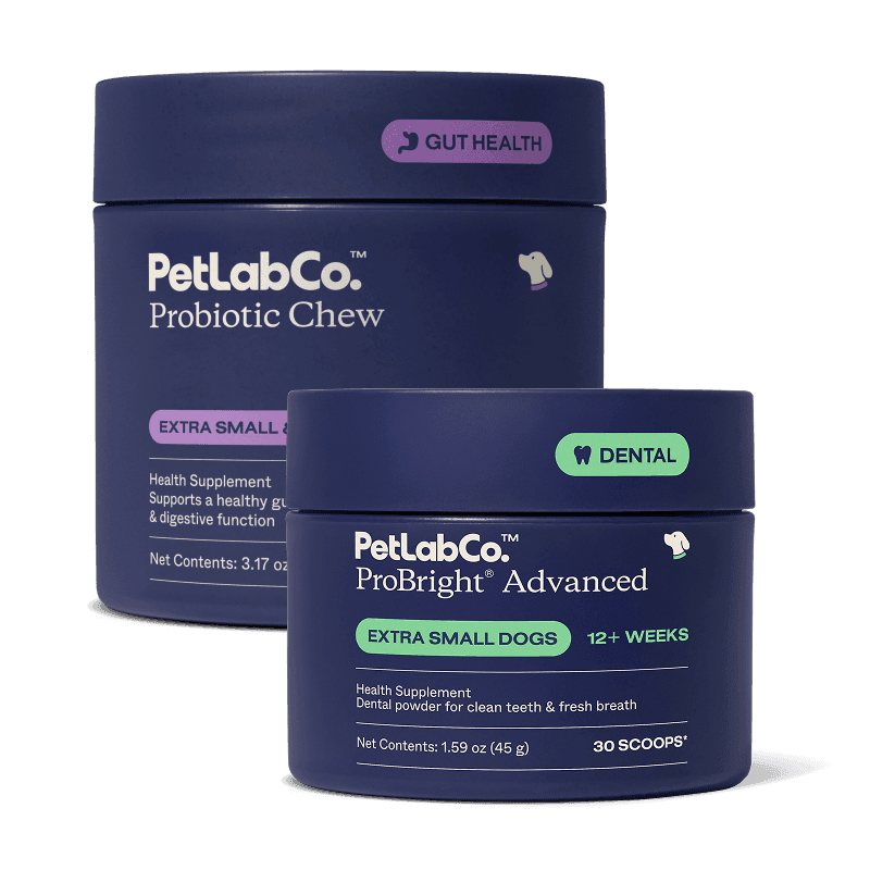 Complete Gut & Dental Bundle